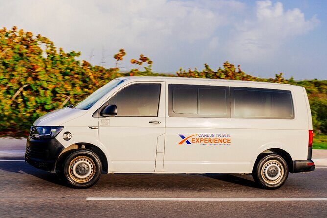 Private Transfer to/from Hotels in Cancun Area - Reviews Highlight the Service Quality
