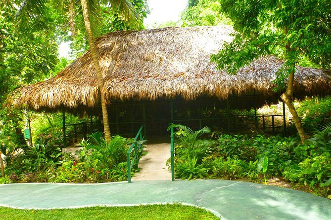 Private Transfer to Konoko Falls Botanical Gardens - Who Will Enjoy This Tour?