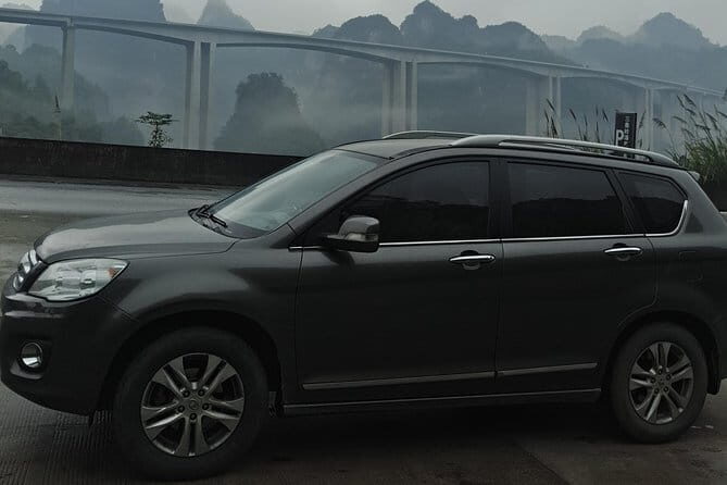 Private Transfer to Leshan Giant Buddha - Who Would Benefit Most From This Tour?