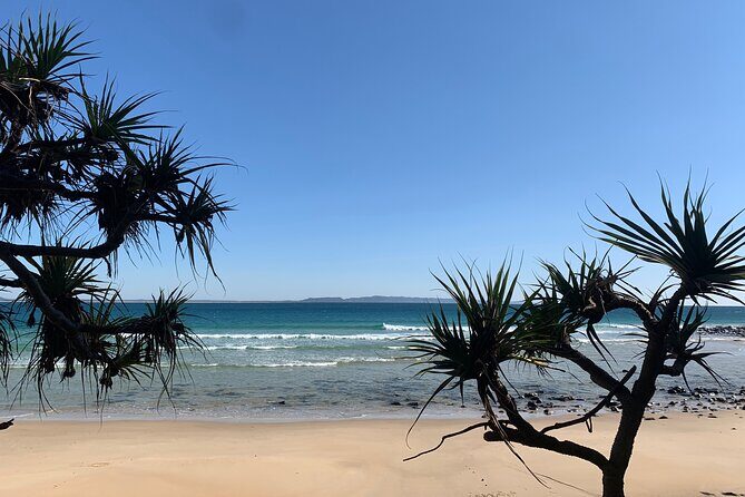 Private Transfer to or from Sunshine Coast Airport (MCY) - The Experience of the Transfer: What to Expect