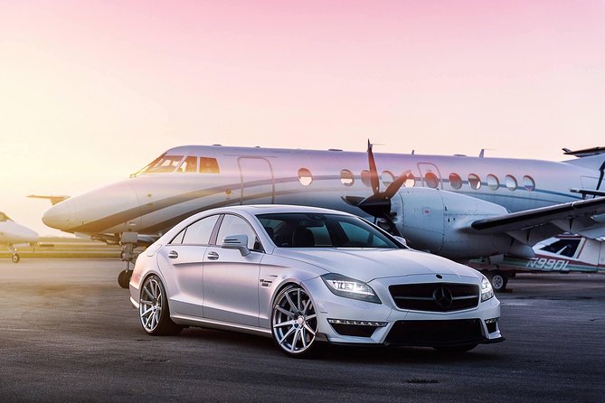 Private Transfer to Pudong or Hongqiao Airport from Shanghai Cruise Port - Who Is This Tour Best For?