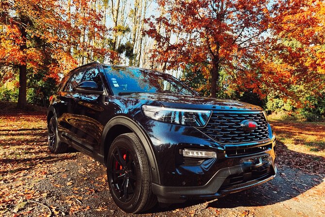 Private transfer to Reims or Epernay : one way OR 8 hours tour - The Details: What You Need to Know