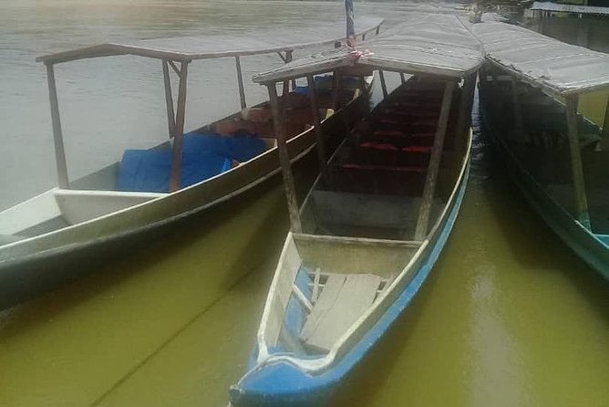 Private Transfer to Taman Negara from Kuala Lumpur - The Cost and Value for Money