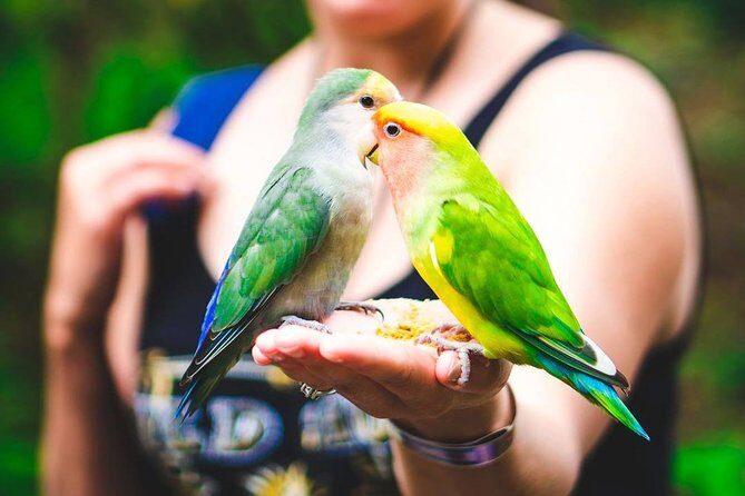 Private Transfer to Yaaman Adventure Park from Ocho Rios - Highlights of the Experience