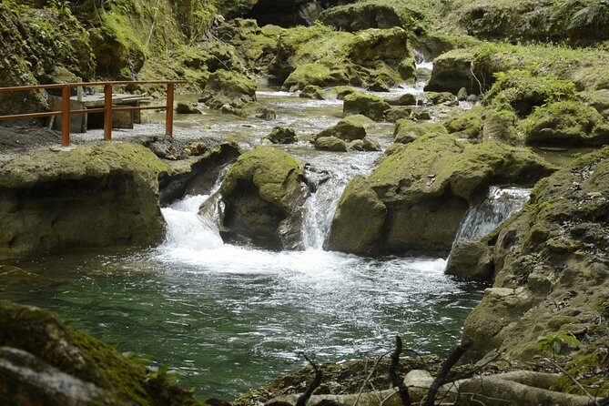 Private Transfer to Yaaman Adventure Park from Ocho Rios - The Sum Up