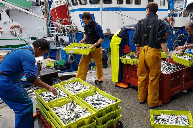 Private Transfer Tour Bilbao to San Sebastian through the Basque Coast - The Practical Side: What’s Included and What’s Not