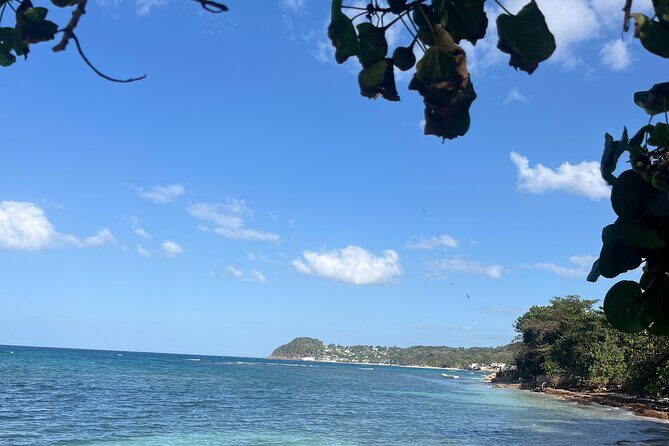 Private Transfer/Tours to/from Montego Bay - The Sum Up: Who Is This Tour Best For?