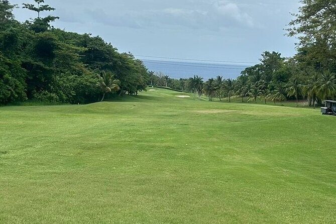 Private Transfer/Tours to/from Montego Bay - FAQ - Your Practical Questions Answered