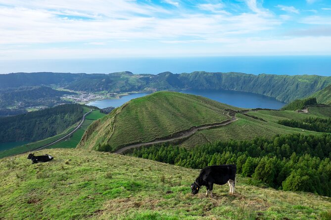 Private Transfer with sightseeing (Furnas or Sete Cidades) - Value and Price Analysis