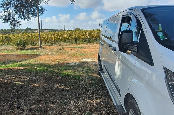 Private transfers between Faro and Portimão/Praia da Rocha - Flexibility and Vehicle Options