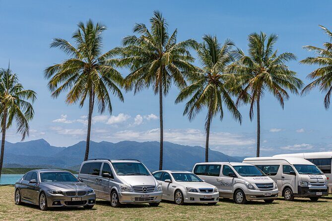 Private Transfers - Cairns Airport to Palm Cove - Who Will Love This Service?