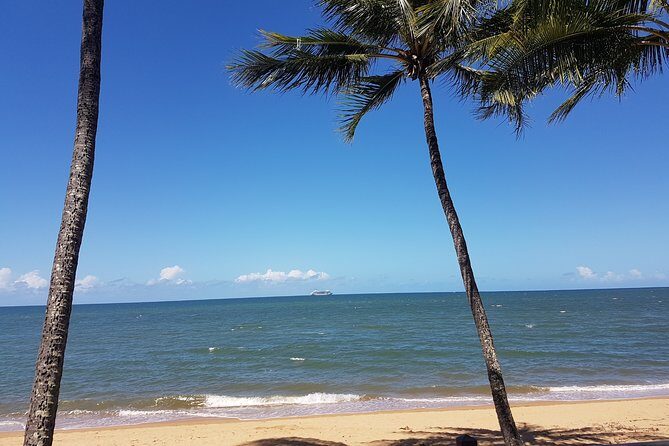 Private Transfers - Cairns Airport to Palm Cove - FAQ