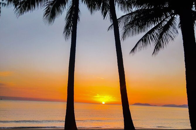 Private Transfers Cairns Airport to Port Douglas - The Sum Up