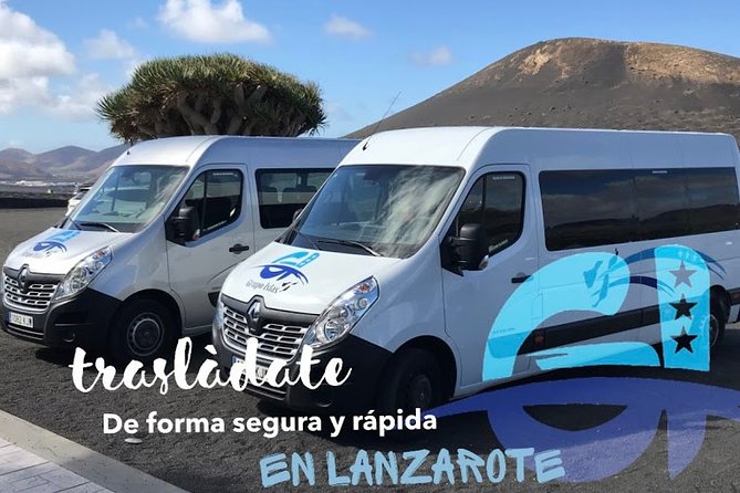 Private Transfers From Lanzarote Airport (ACE) to Playa Banca - Accessibility Features
