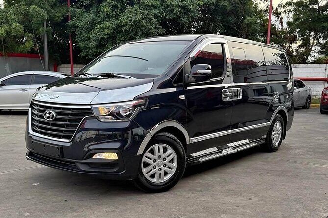 Private Transfers From Punta Cana Airport To Hotels - How the Transfer Service Works: A Step-by-Step Overview