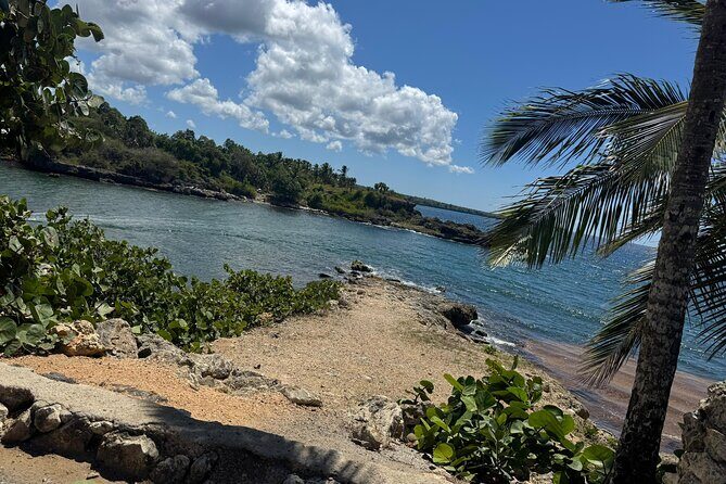 Private transfers from Punta Cana/Miches Airport - Why Choose This Transfer?