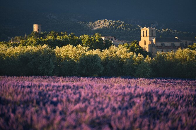 Private Transfers Provence by smart vtc - The Sum Up