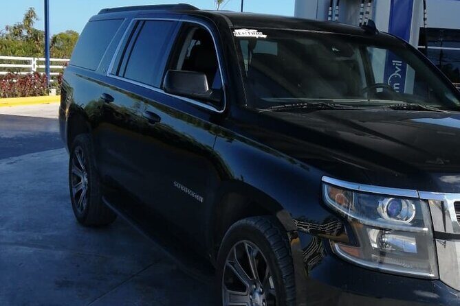 Private Transfers Punta Cana Airport and Cap Cana Hotels - Who Will Benefit Most?