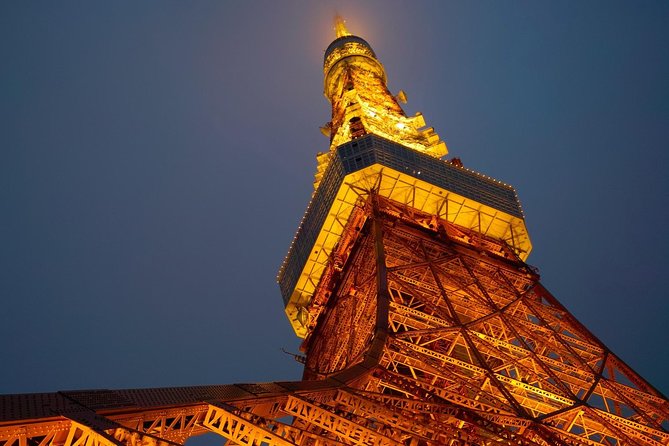 Private Transport 1 Day Tokyo Tour - Accessibility and Health Considerations