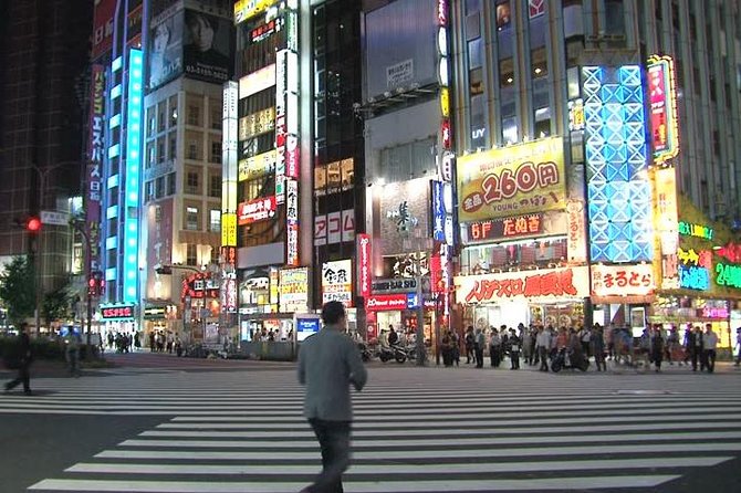 Private Transport 1 Day Tokyo Tour - Punctuality and Exclusivity