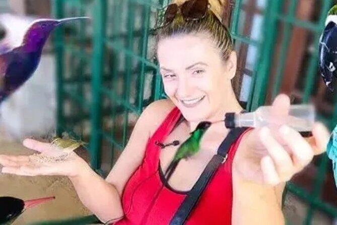 Private Transport and Airport Transfer in Montego Bay - Practical Details to Keep in Mind