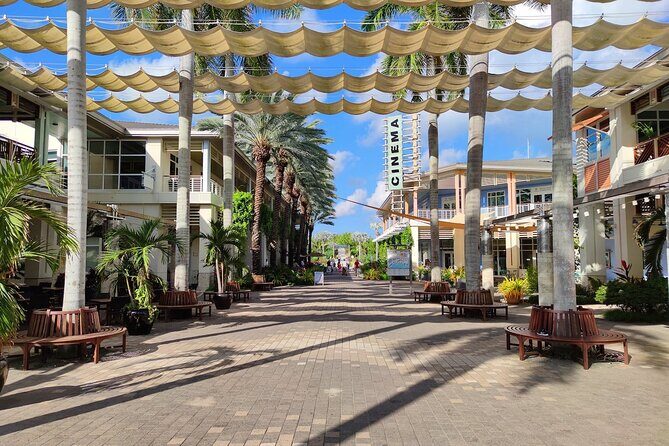 Private Transport From Airport & Private Air to Western District - Transportation and Logistics: What to Expect