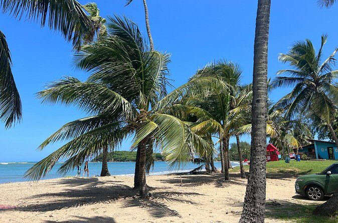 Private Transport from SanJuan to Rio Grande Luquillo Puerto Rico - The Real Experience of Private Transportation in Puerto Rico