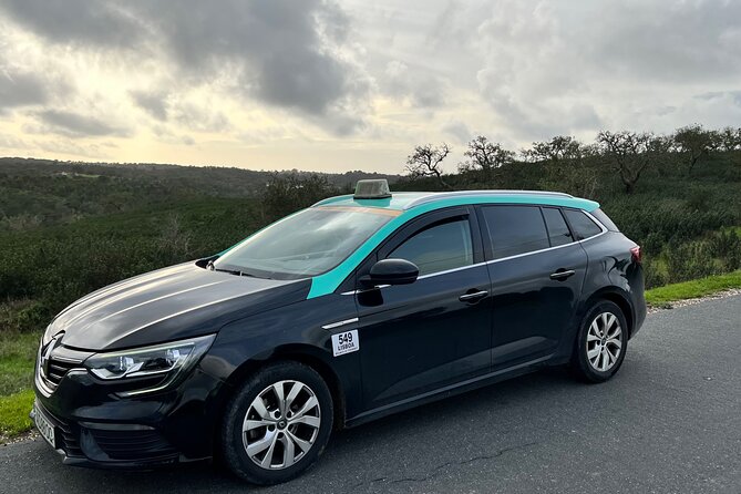 Private transport Lisbon/Porto 2 stops Nazare Obidos Aveiro - Frequently Asked Questions