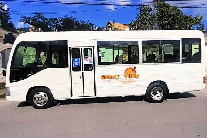 Private Transport: Montego Bay Airport to Royal Decameron Cornwall Beach - Who Should Consider This Transfer?