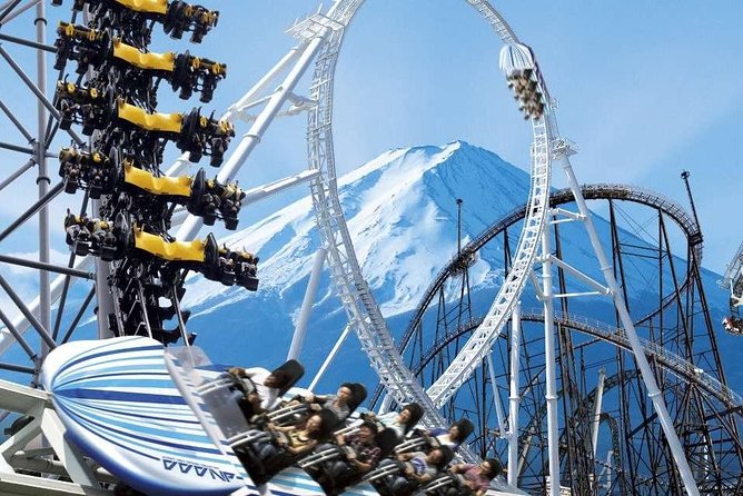 Private Transport Mt Fuji and Hakone 1 Day Trip - Exclusions and Inclusions