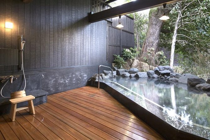 Private Transport Mt Fuji and Hakone 1 Day Trip - Driver and Language Support