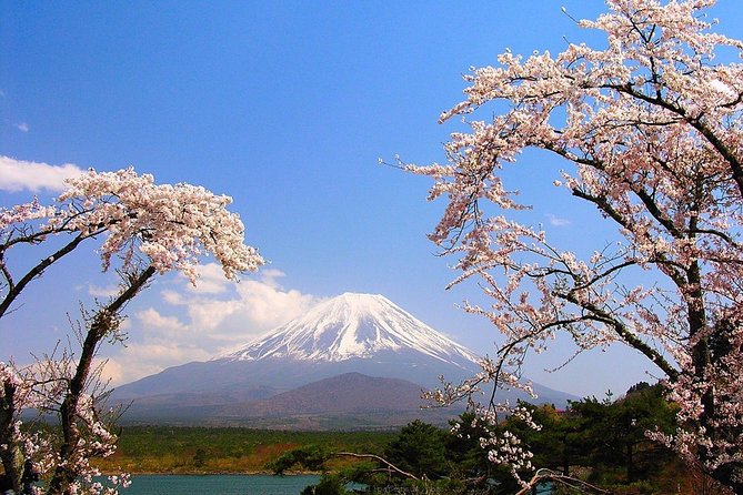 Private Transport Mt Fuji and Hakone 1 Day Trip - Confirmation and Communication