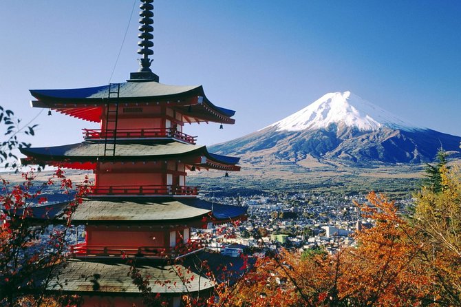 Private Transport Mt Fuji and Hakone 1 Day Trip - Safety and Liability