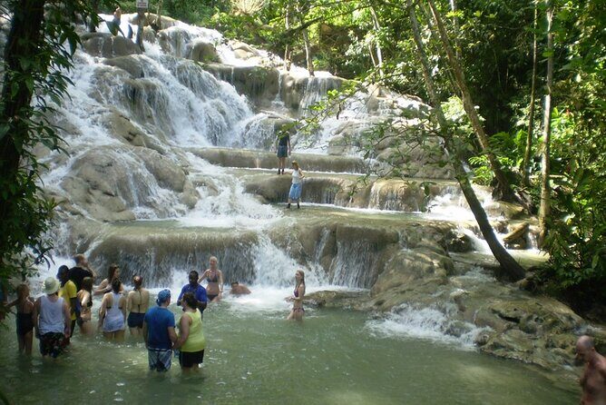 Private Transport only, Zipline and Dunns River from Montego Bay - Key Points