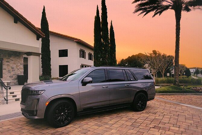 Private Transport: Orlando Airport to Lake Buena Vista Hotels - Why Choose This Transfer Service?