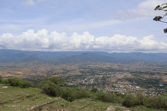 Private Transport to Oaxaca City from Mexico City - Who Is This Service Best For?