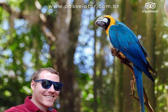 Private Transport With Guide to Brazil Falls + Bird Park - Inclusions and Exclusions