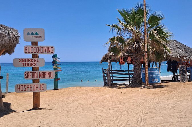 Private Transportation at VAN Airport Los Cabos - Cabo Pulmo Park - Pricing & Value