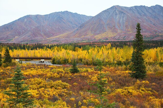 Private Transportation Between Fairbanks and Denali National Park - Who Is This Tour Best For?