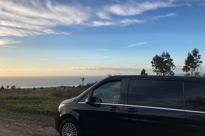 Private Transportation From Granada City to Malaga Airport - Accessibility and Participation