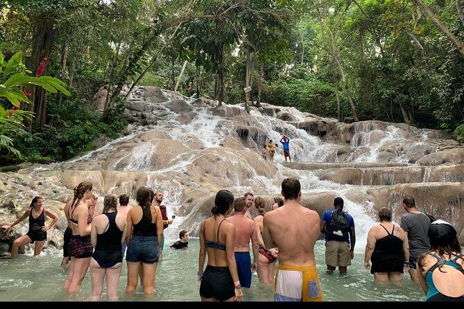 Private Transportation from Montego Bay to Mystic Mountain and Dunn's River Fall - Exploring Jamaica’s Natural Wonders: Private Transport to Mystic Mountain and Dunn’s River Falls