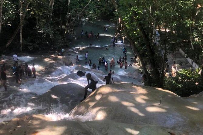 Private Transportation from Montego Bay to Mystic Mountain and Dunn's River Fall - What We Appreciate About This Service