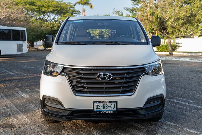 Private Transportation from Oaxaca Airport to Hotel - Introduction: A Thoughtful Way to Start Your Oaxaca Stay