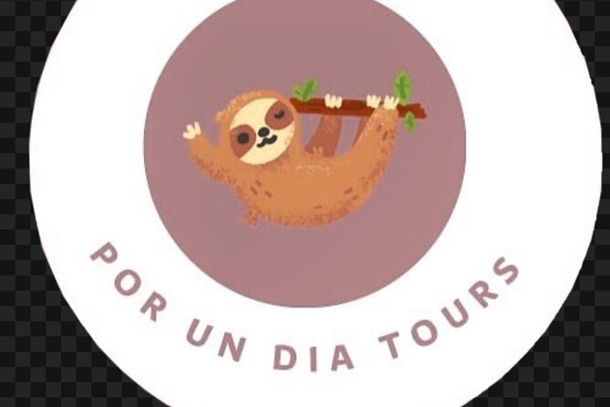 Private Transportation Guanacaste Liberia Airport - Pickup and Drop-off Logistics