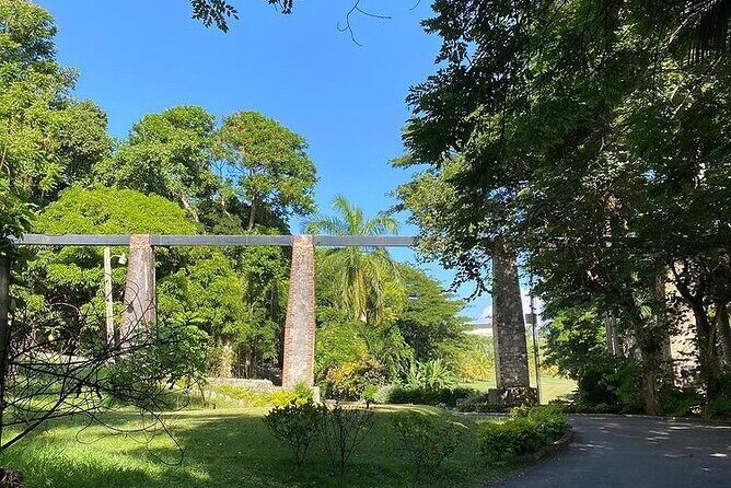 Private Transportation to Negril from Montego Bay - Overview of the Transfer Experience