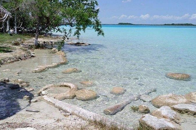 Private Transportation: Tulum to Bacalar with Optional Stop - What Makes This Tour Special?