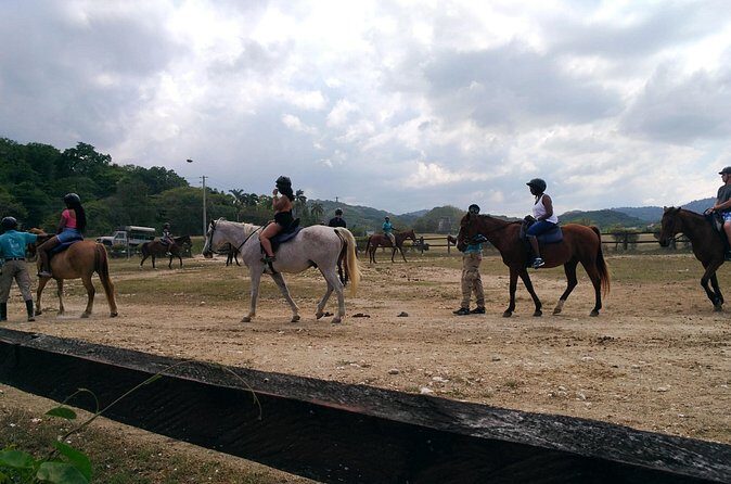 Private Transportation within Montego Bay Area - The Sum Up