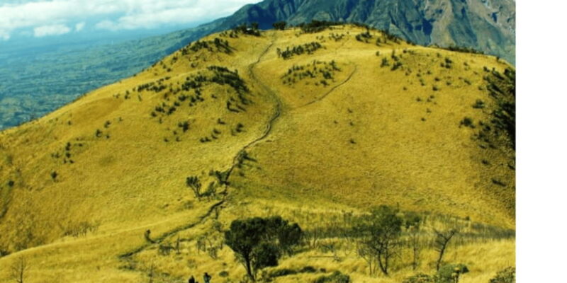 Private Trekking Rinjani mountain 3 days - 2 nights - Final Thoughts: Is This Tour Worth It?