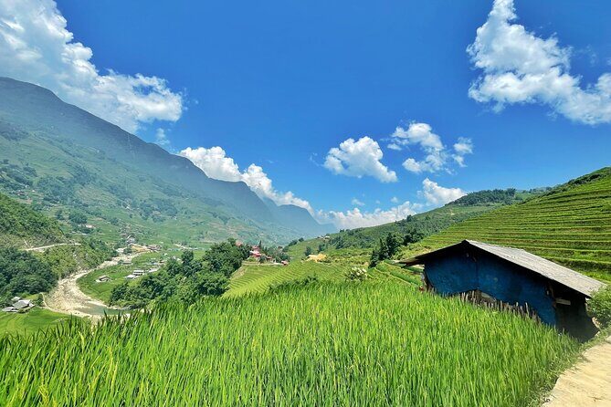 Private Trekking through Terraces Rice Fields in Sapa - What Sets This Tour Apart