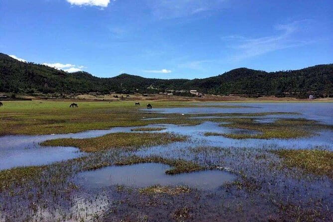 Private trekking tour to Wenhai lake from Lijiang half day service - An In-Depth Look at the Wenhai Trekking Tour